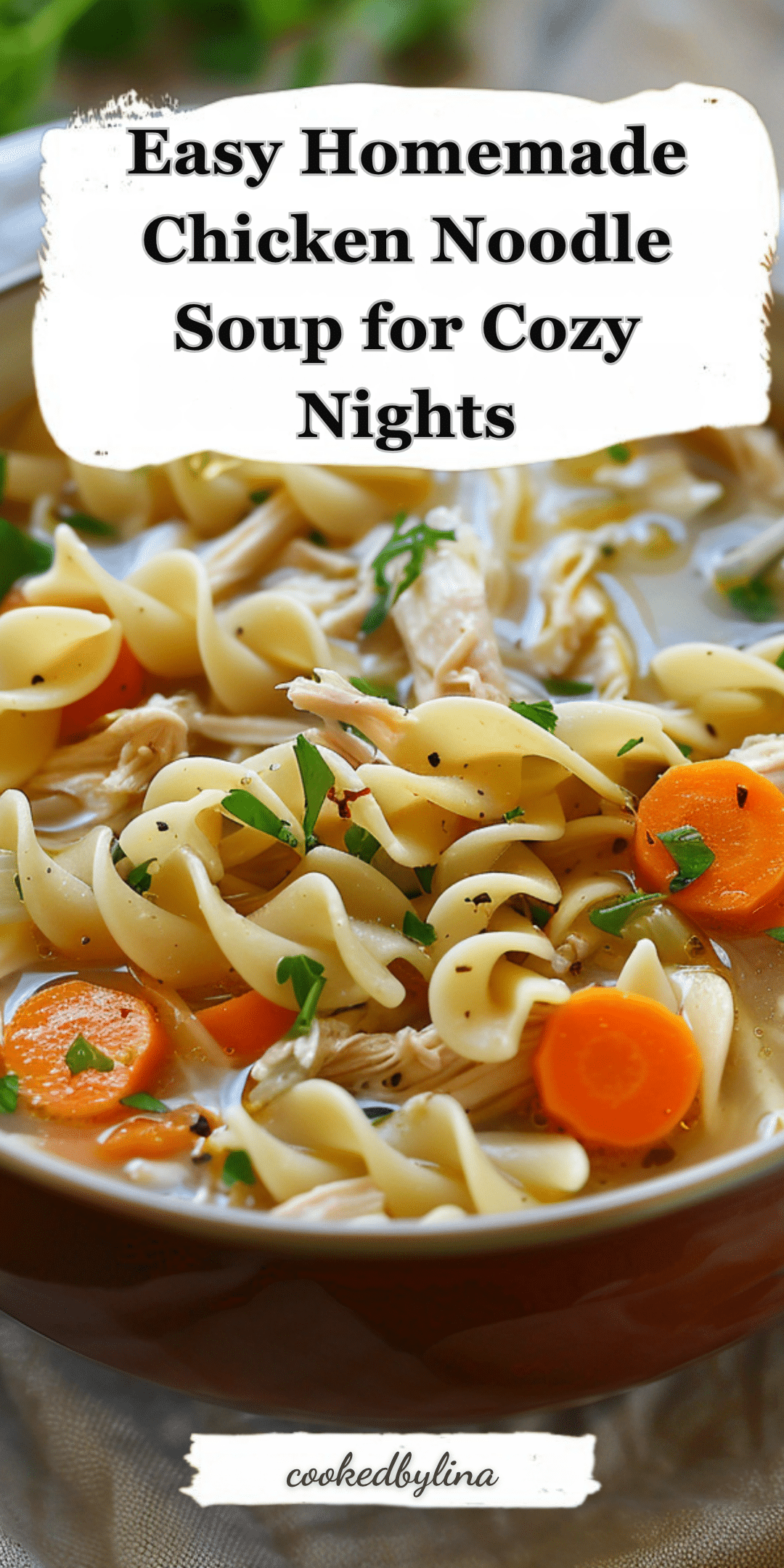 Chicken Noodle Soup | Cooked By Lina